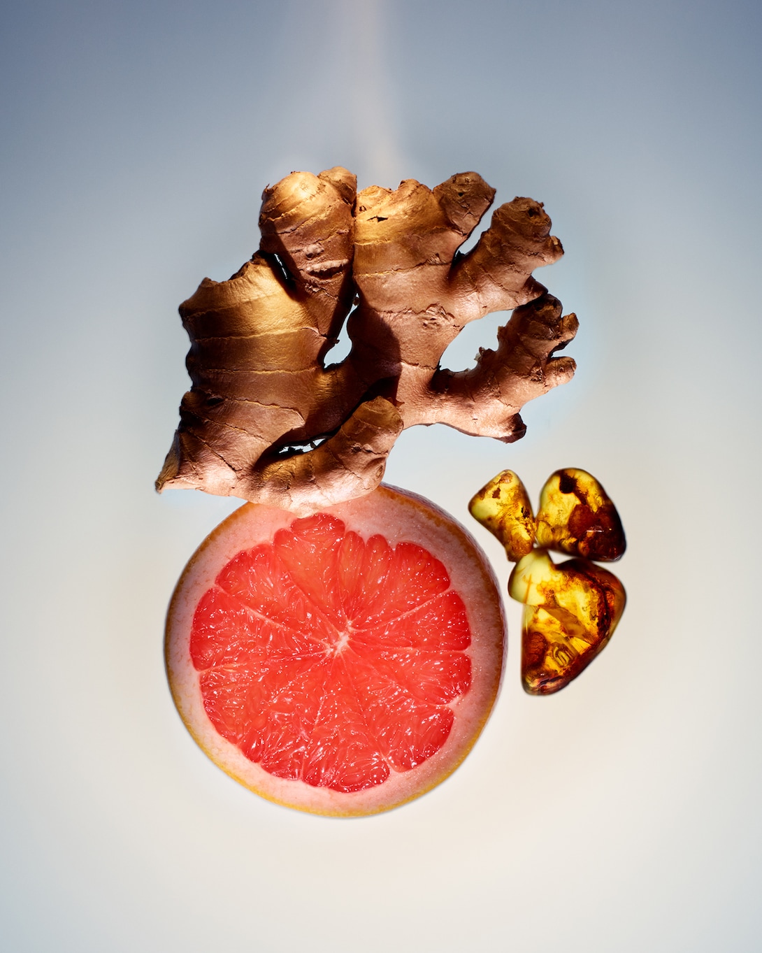 L'Immensité | LOUIS VUITTON