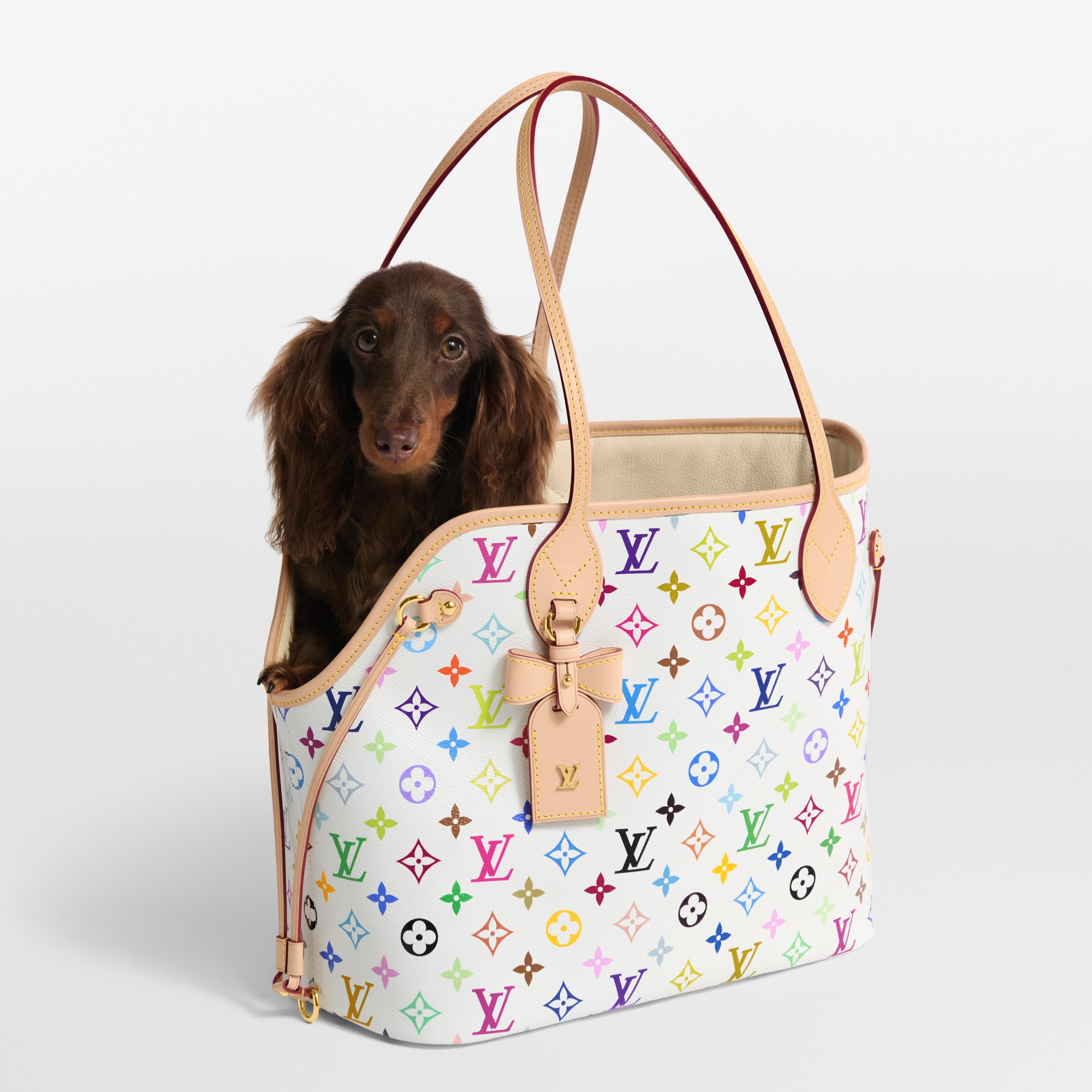 Bolsa para mascotas LV x TM Neverwoof MM Autres Toiles Monogram - Mujer ...
